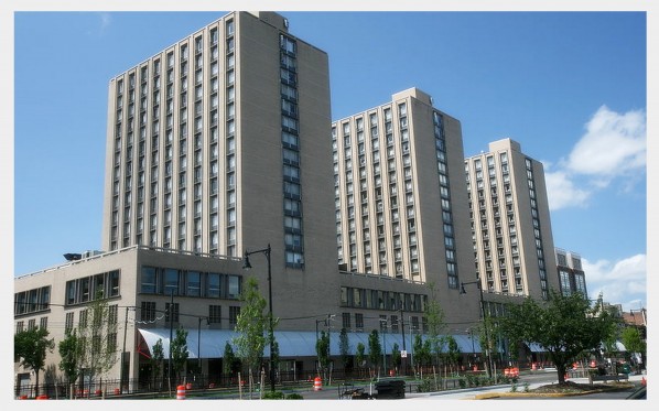 Freshmen Orientation: The Sh*t They Should’ve Told You – The Quad