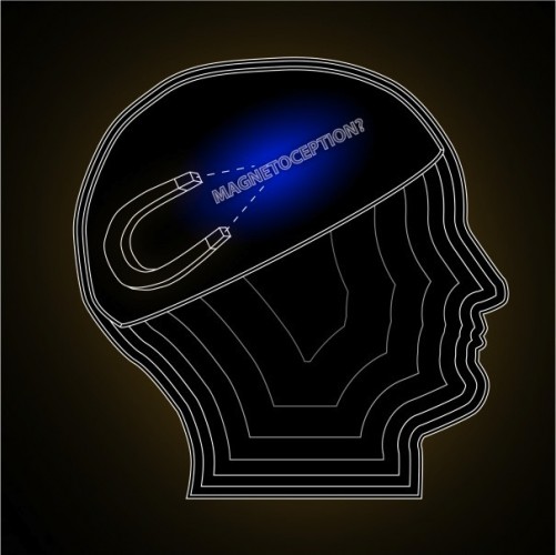 Exploring Biomagnetism, Our Internal GPS – The Quad