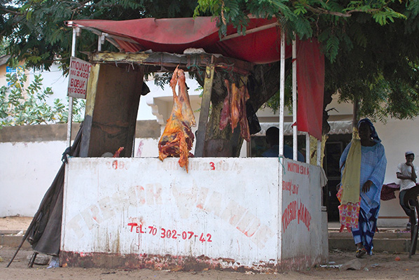 Photo Story: Snapshots from Rural Senegal – The Quad