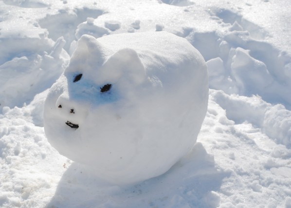 The Snow Creatures of BU – The Quad