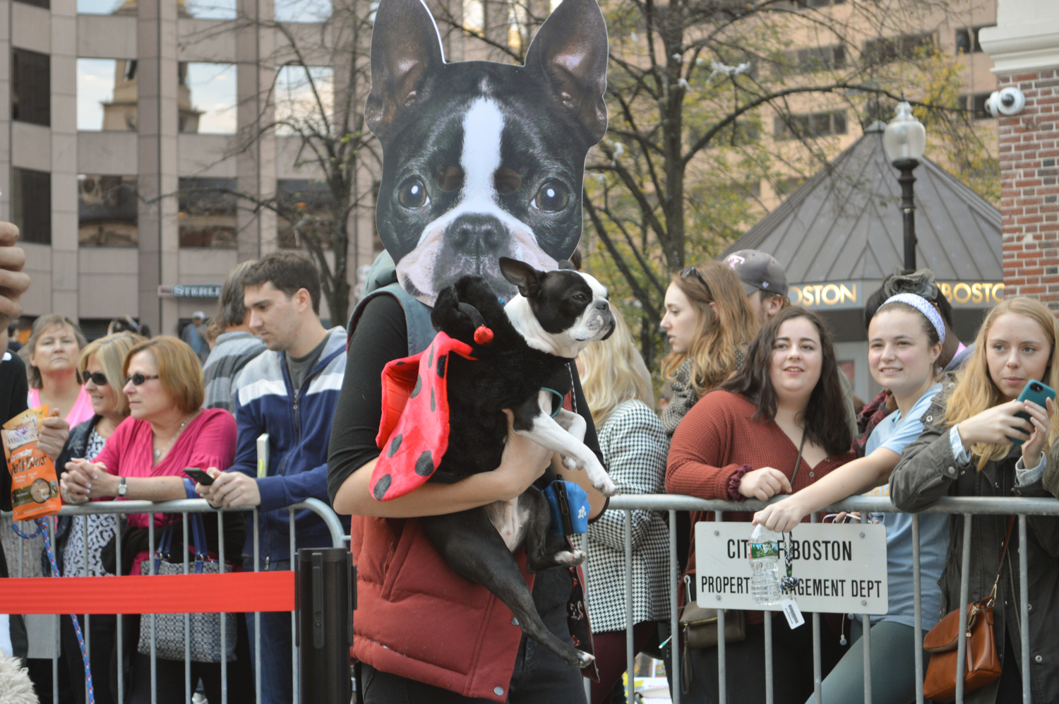 Pets Parade Their Costumes at the Annual Faneuil Hall Pet Parade – The Quad